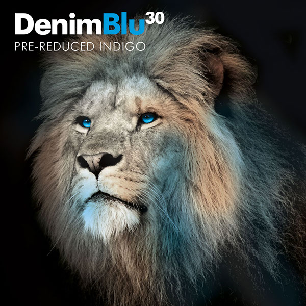 bluconnection | homepage