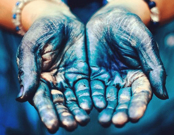 bluconnection | homepage